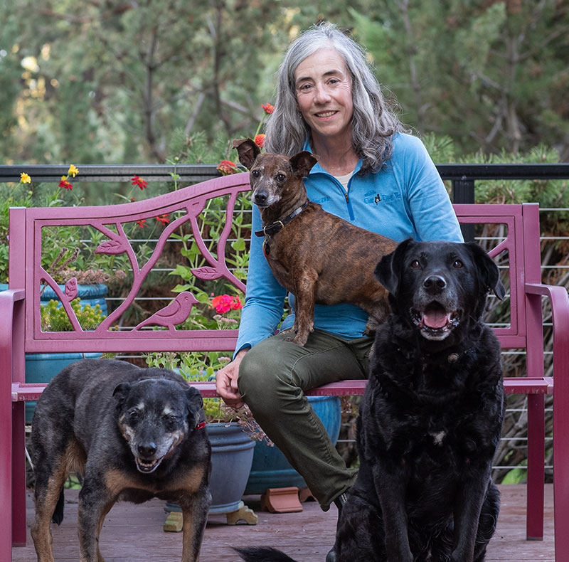 Our Team | Mobile Cat And Dog Vet