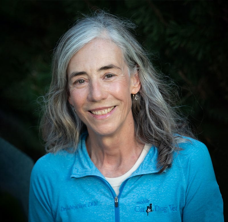 Dr. Libby | Mobile Cat And Dog Vet