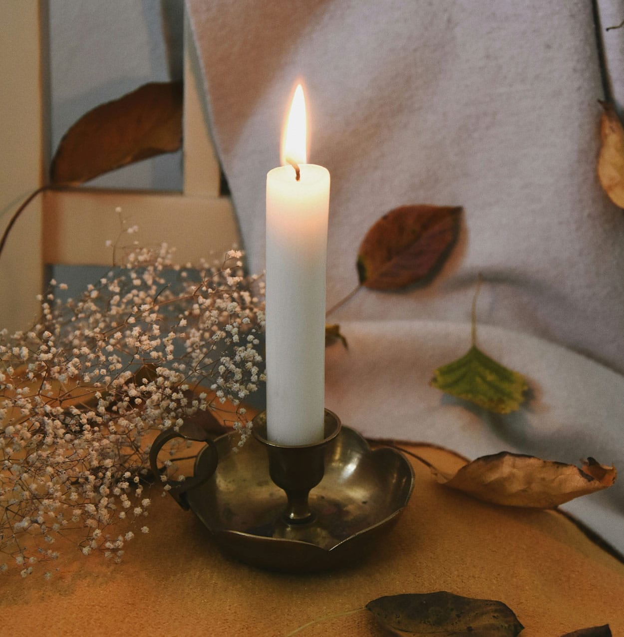 Aftercare Options | Mobile Cat And Dog Vet